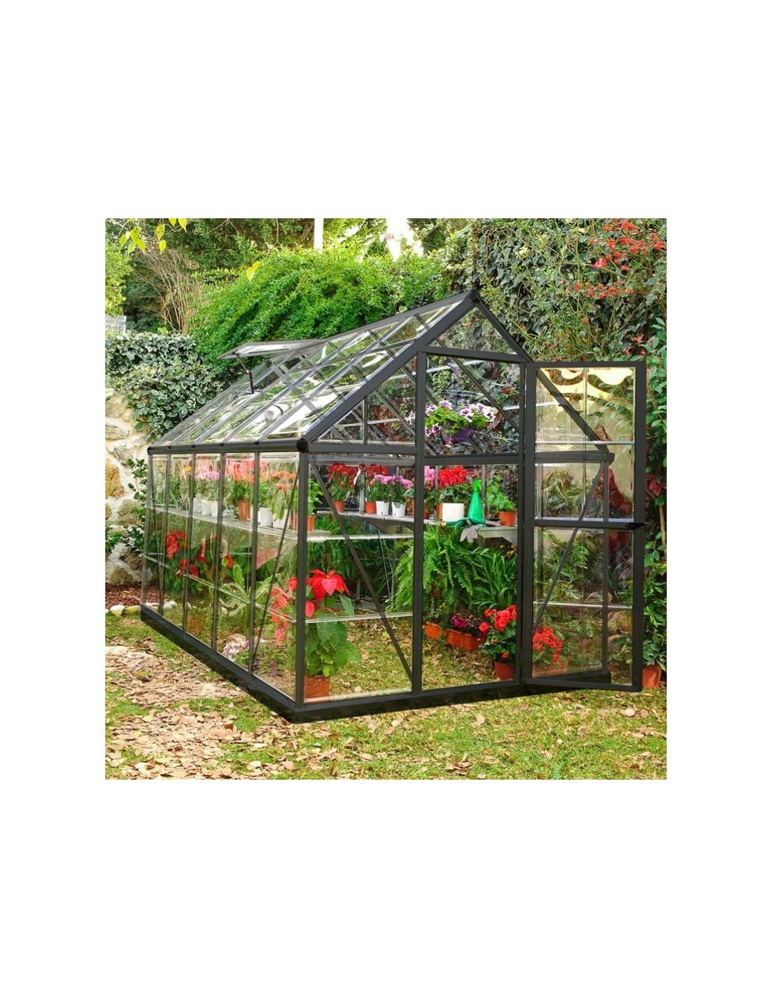 Drivhus Palram – HARRMONY 🟢 Drivhussenter.no