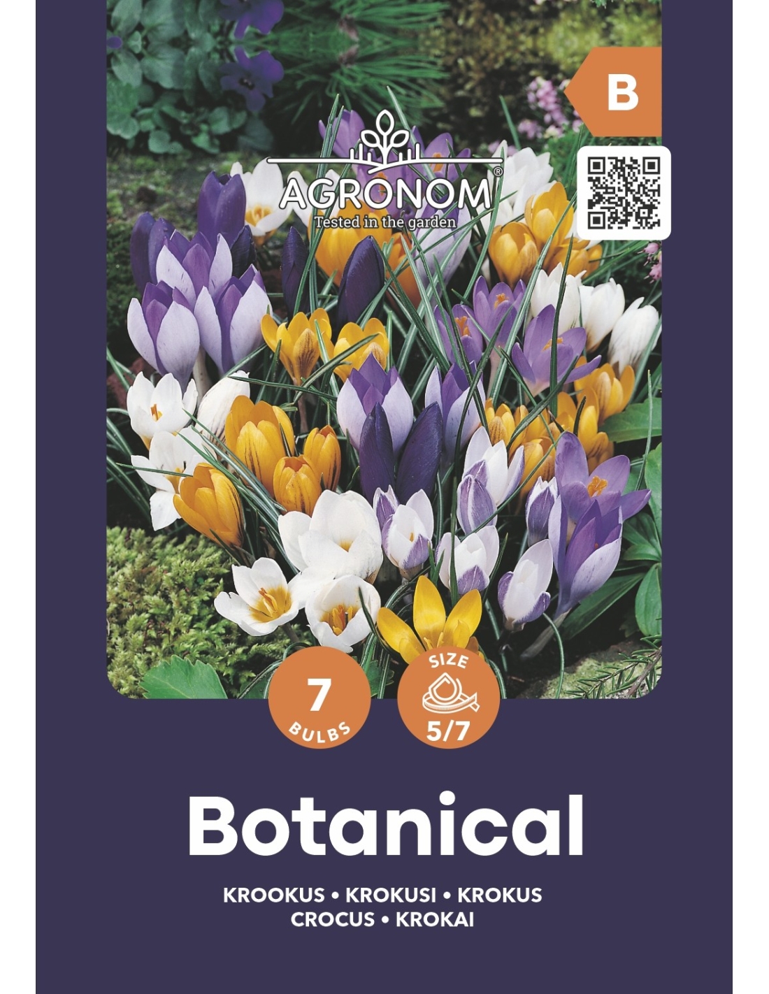 Krokus blomsterløk MIXED 🟢 Beste pris - Drivhussenter.no