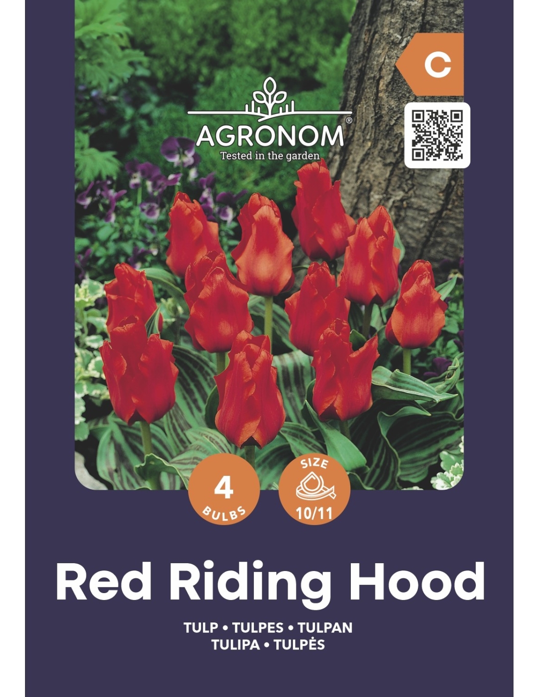 Tulipaner blomsterfrø RED REDDING HOOD 🟢 Beste pris - Drivhussenter.no