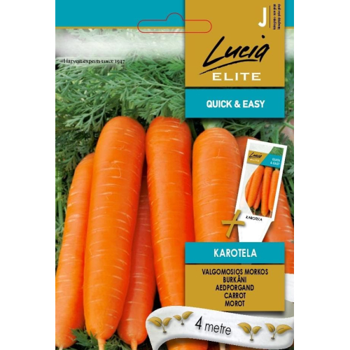 Dyrke gulrot – en komplett guide for hageentusiaster