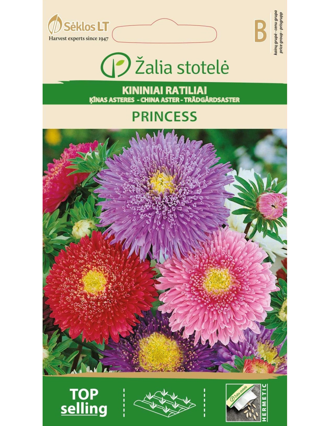 Asters frø PRINCESS 🟢 Beste pris - Drivhussenter.no