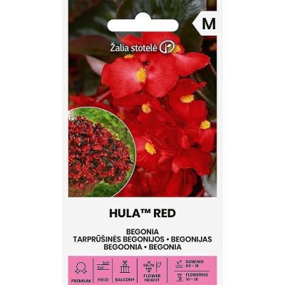 Begonia HULA™ RED 🟢 Beste pris - Drivhussenter.no