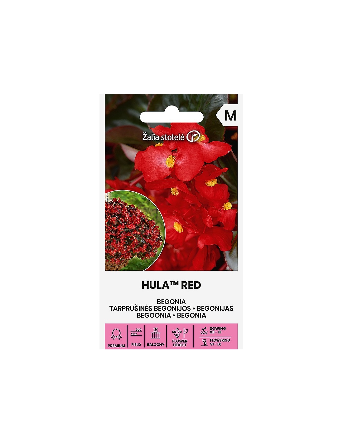 Begonia HULA™ RED 🟢 Beste pris - Drivhussenter.no