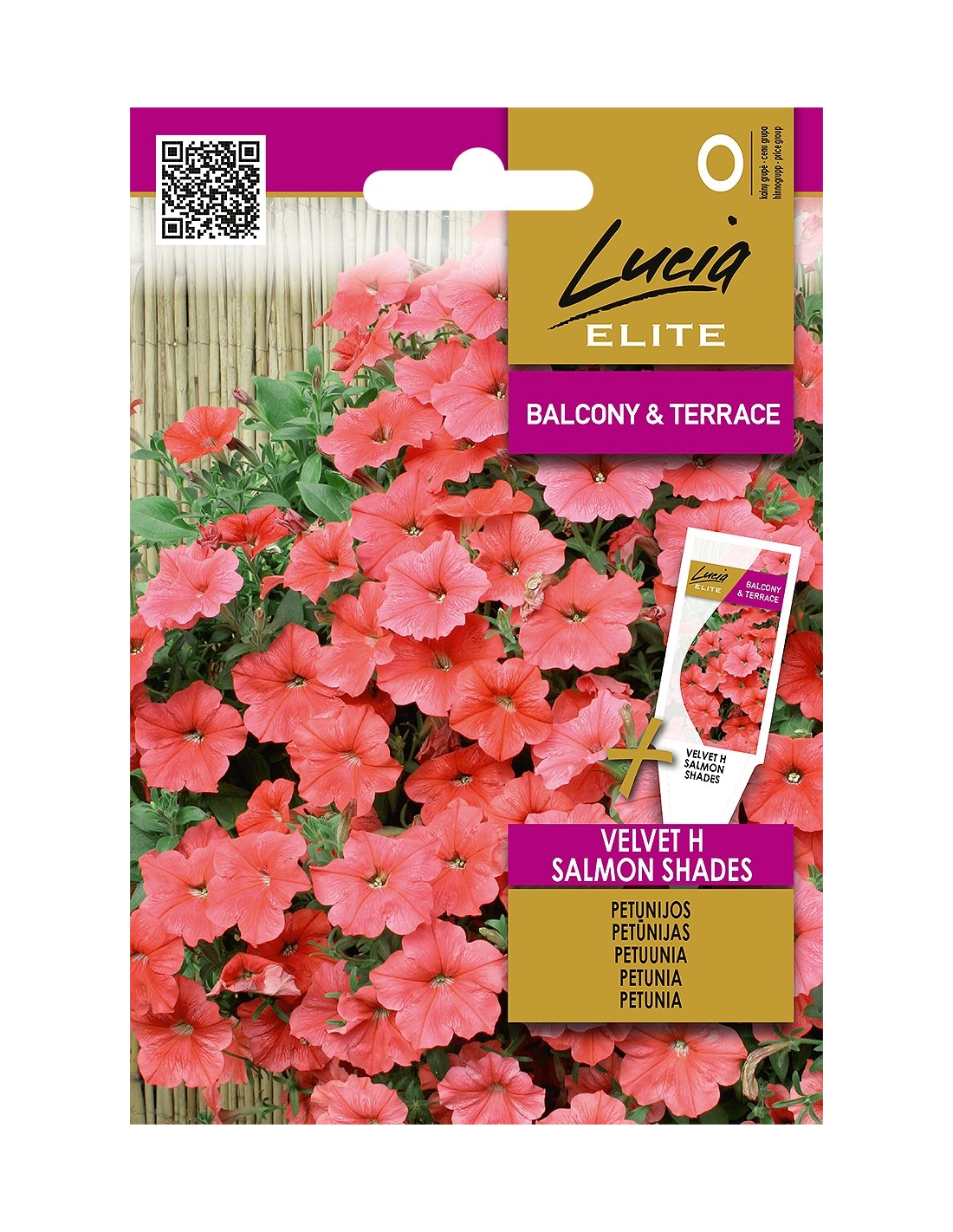 Petunia VELVET H SALMON SHADES 🟢 Beste pris - Drivhussenter.no